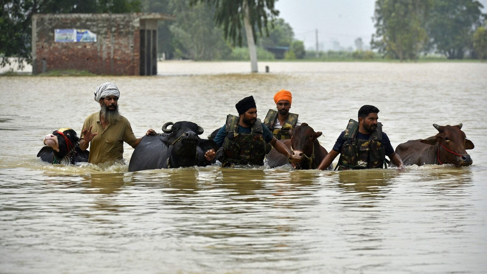 Punjab Flood Situation Eases as Rainfall Declines; Over 21,900 Evacuated Safely